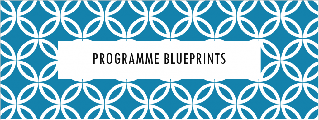 What is a programme blueprint? – Aspire Europe Ltd